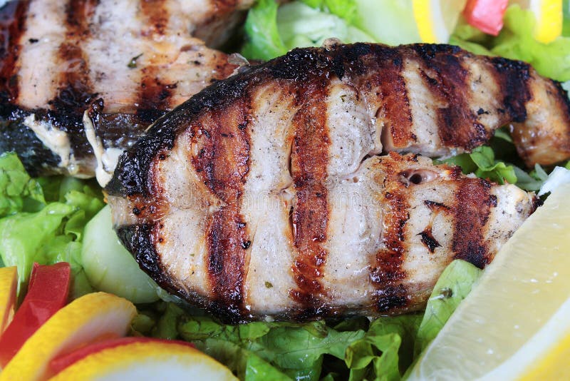 Fish cutlets grilled stock photo. Image of seafood, fish - 16752694