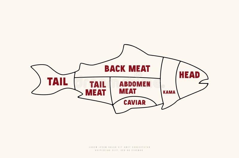 Salmon Cuts Diagram Stock Illustrations – 36 Salmon Cuts Diagram Stock ...