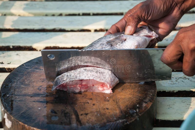 Fish cutters stock photo. Image of pour, males, cutting - 64506854