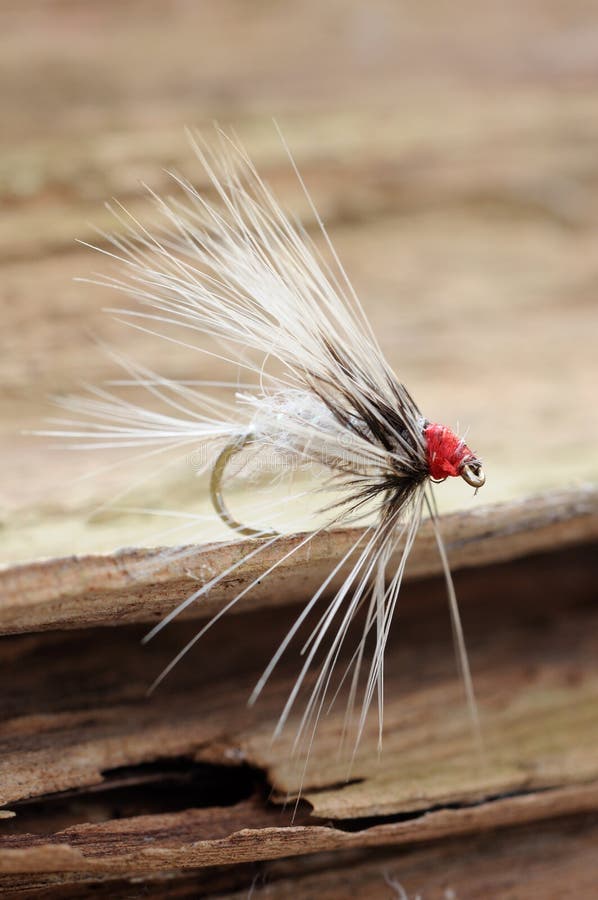 Fish decoy stock image. Image of hand, lure, synthetic - 49839191