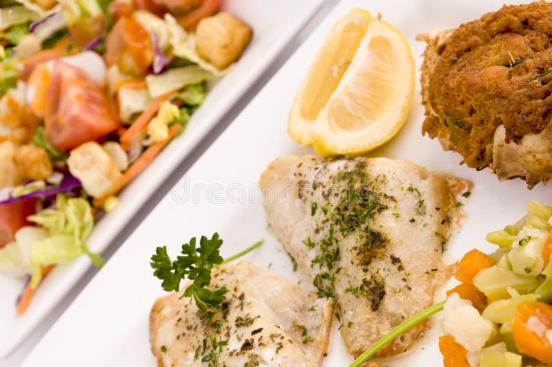 Fish dinner stock image. Image of chinook, fishing, fillet - 14016033