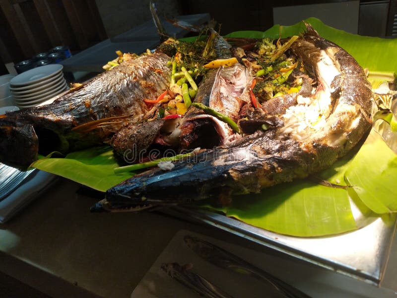 Fish dinner sea food stock photo. Image of fishes, fish - 248538482