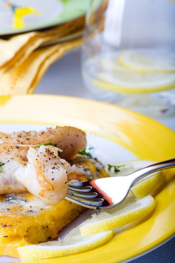 Fish dish stock image. Image of gourmet, eating, lunch - 11546969