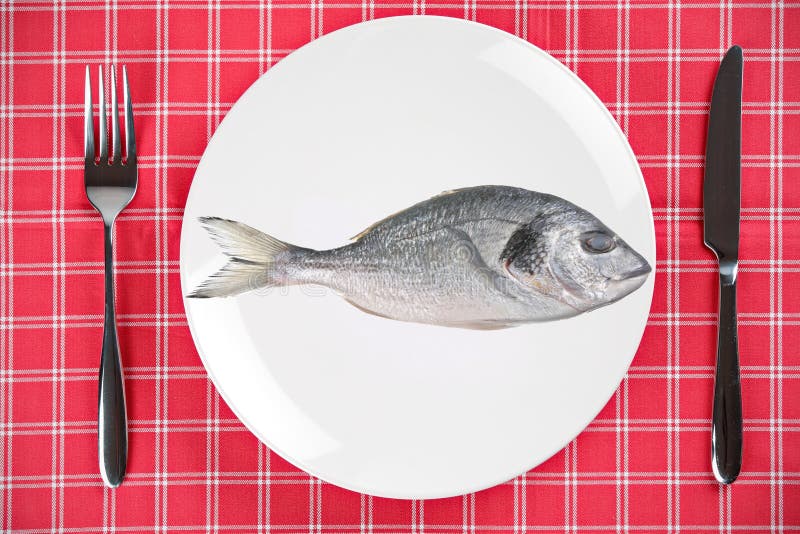 Goldfish on a plate stock image. Image of silverware, fork - 3533159