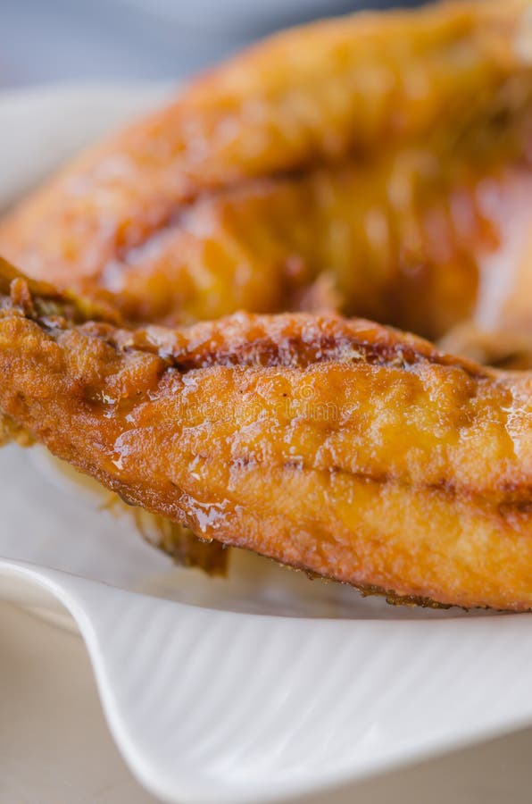 Fish dish stock image. Image of nutrition, grilled, barbecue - 21662207