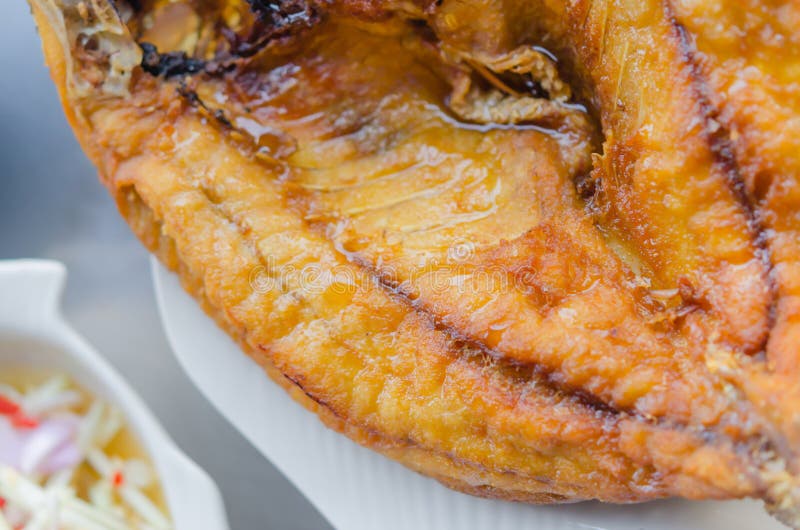 Fish dish stock image. Image of nutrition, grilled, barbecue - 21662207