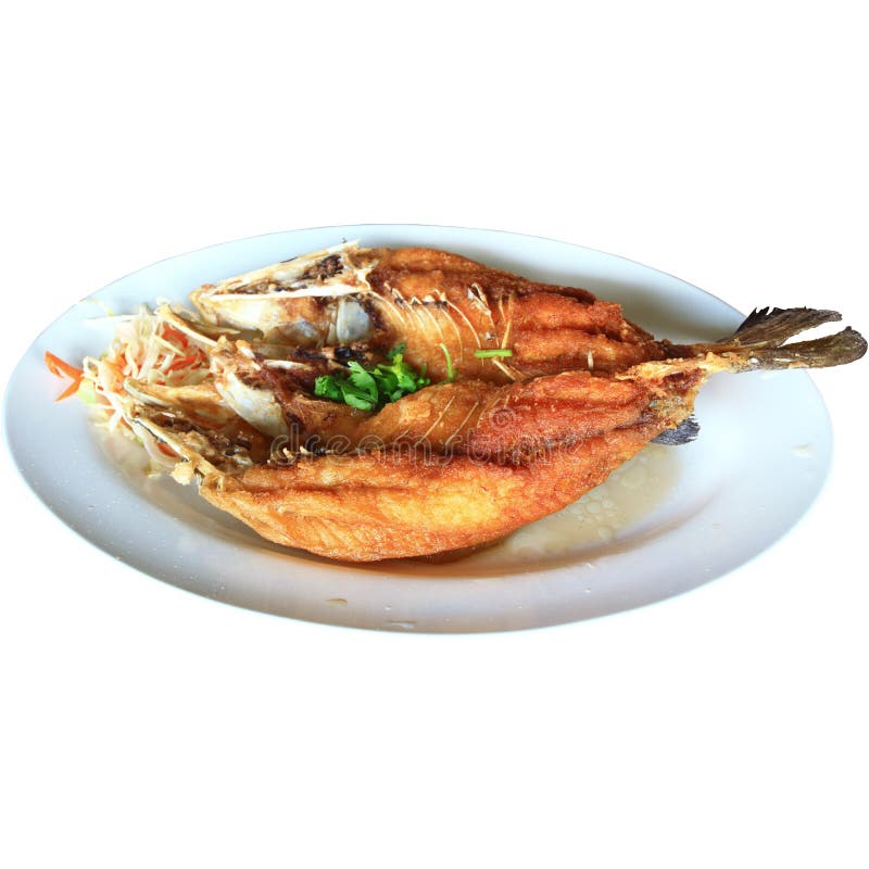 Fish Dish - Fried Fish Fillet Stock Photo - Image of appetizer, dinner ...