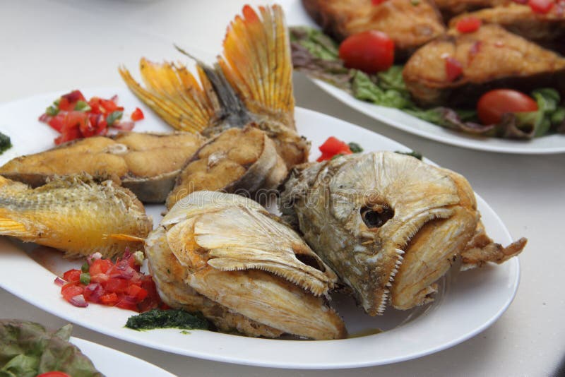 Fish dish stock image. Image of garnish, healthy, potatoes - 96800847