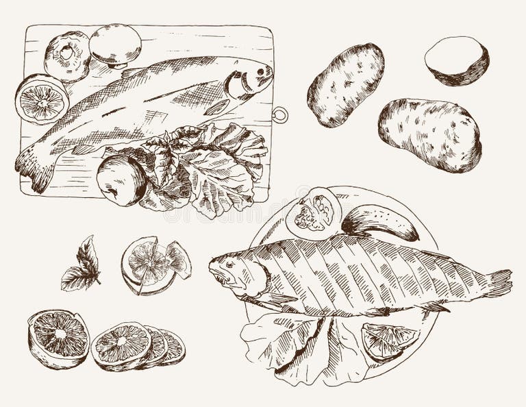Fish Dish Sketch Stock Illustrations – 3,298 Fish Dish Sketch Stock ...