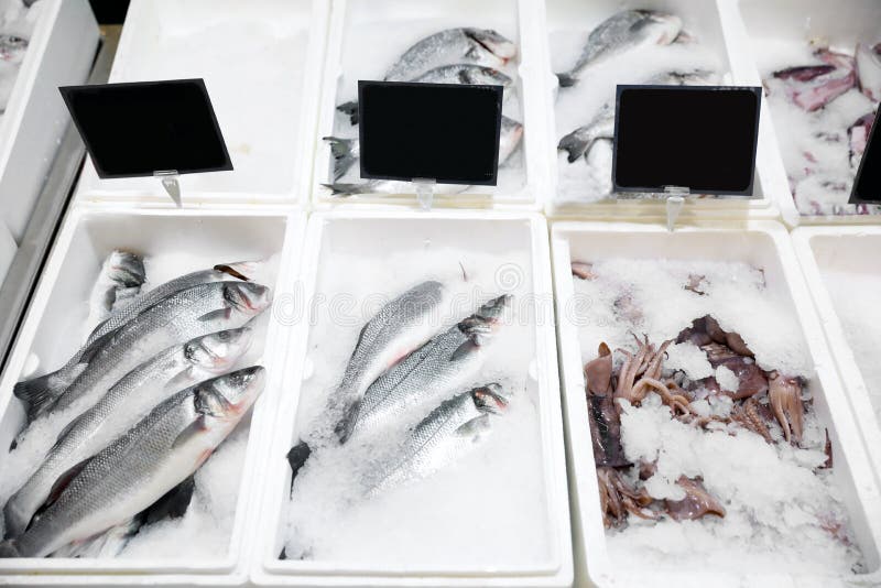 Fish on Display with Ice at Wholesale Market Stock Image - Image of ...