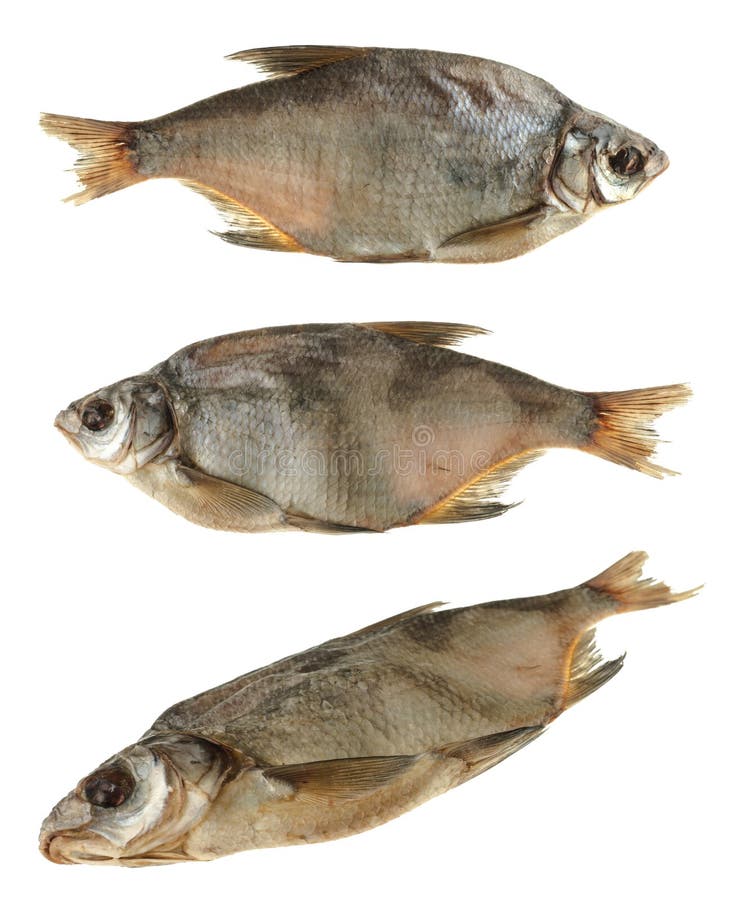 Fish, Dried Bream, Collage on a White Background in Isolation Stock ...