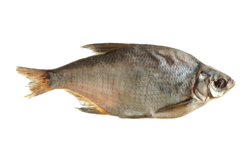 Fish, Dried Bream, on a White Background in Isolation Stock Photo ...