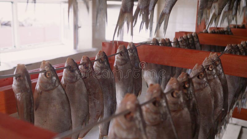 The Fish is Dried at a Fish Processing Plant. Cooking Dried Processed ...
