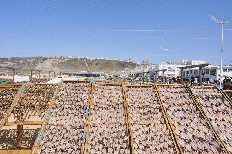 Fish drying on the beach editorial photo. Image of fillet - 182096831