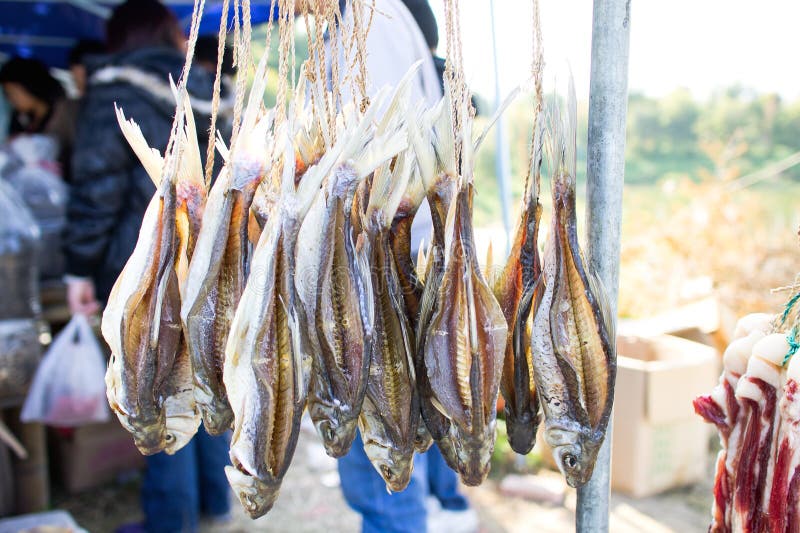 Fish Drying stock photo. Image of salted, food, dried - 39221396