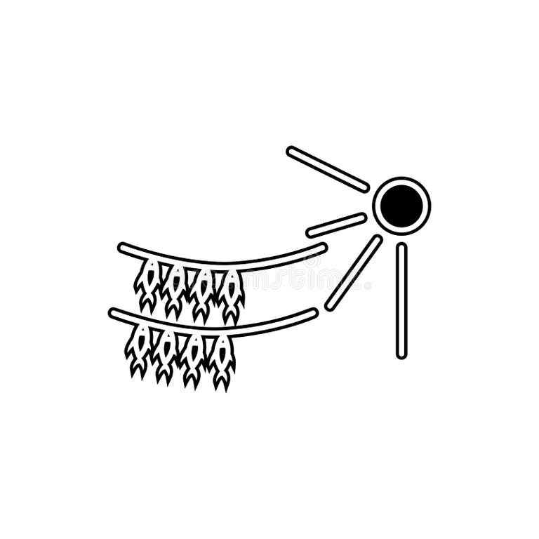 Fish Drying Icon. Element of Fish Production for Mobile Concept and Web ...