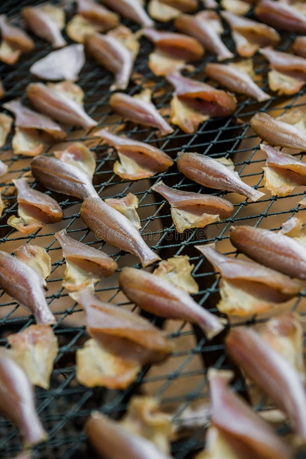 Fish drying on a rack stock image. Image of fishing, island - 88450145