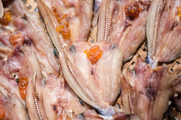 Fish drying on racks stock photo. Image of food, sunlight - 100917848