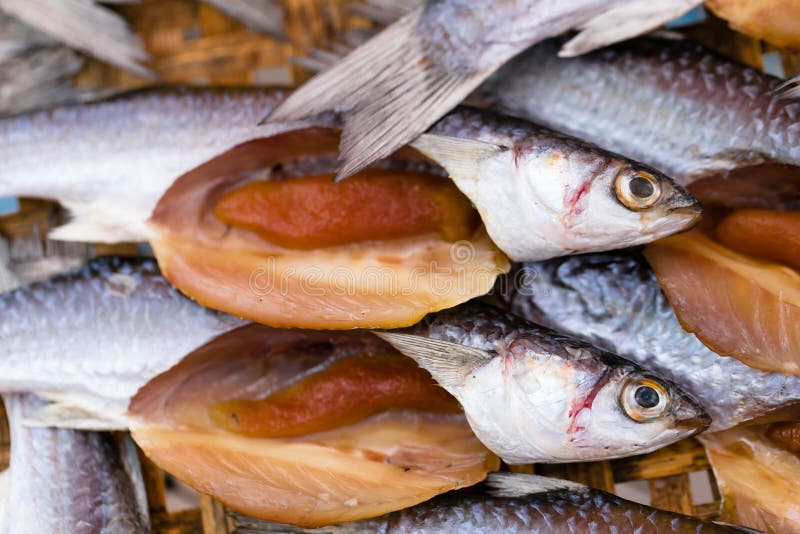 Fish drying on racks stock photo. Image of summer, sabah - 100917890
