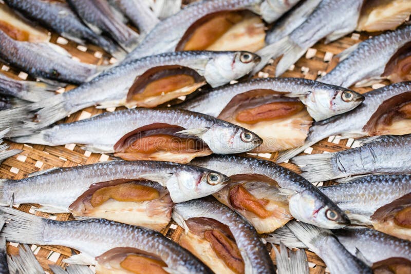 Fish drying on racks stock image. Image of seafood, sabah - 100917891