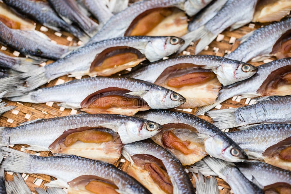 Fish drying on racks stock image. Image of seafood, sabah - 100917891