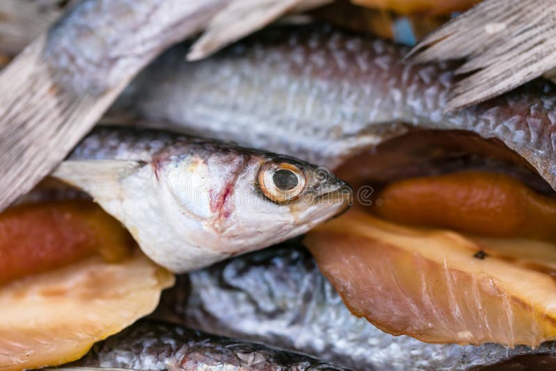 Fish drying on racks stock image. Image of fishing, fish - 100917997