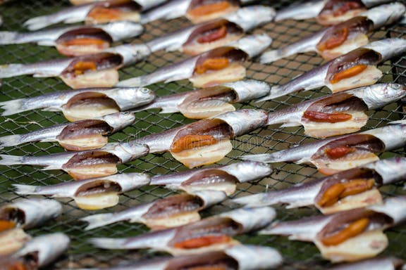 Fish drying on racks stock image. Image of salted, animal - 100918091