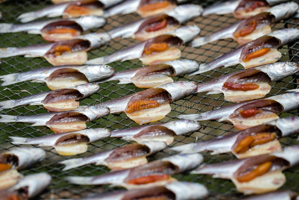 Fish drying on racks stock image. Image of salted, animal - 100918091