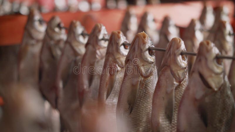 Processing Dried Fish at a Fish Factory. Fish Drying. Fish Seafood ...