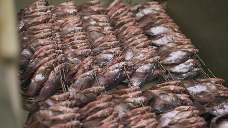 Processing Dried Fish at a Fish Factory. Fish Drying. Fish Seafood ...