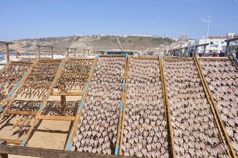Fish drying on the beach stock image. Image of culture - 182096833