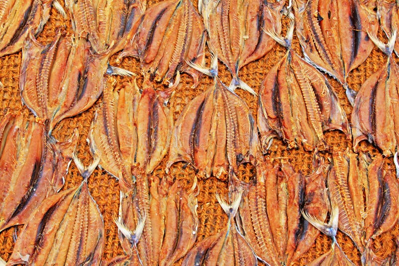 Fish Drying Outside in the Sun at Cambodian Market in Asia Stock Photo ...