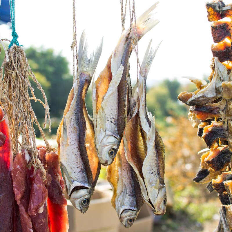 Fish Drying stock image. Image of animal, istanbul, group - 39228353