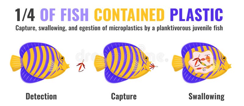 Fish eats plastic stock vector. Illustration of rubbish - 210900759
