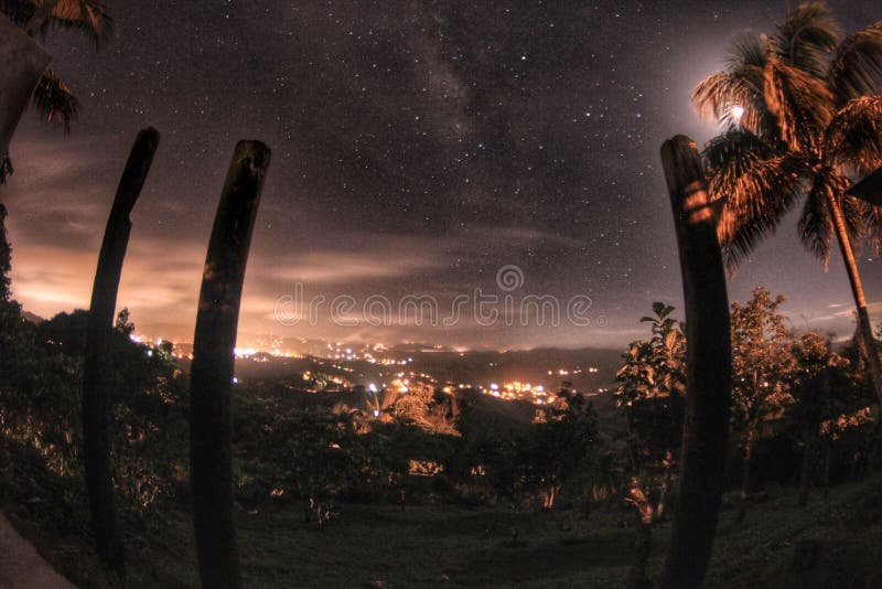 Fish Eye Effect of Green Tropical Trees Against a Dark Starry Night Sky ...
