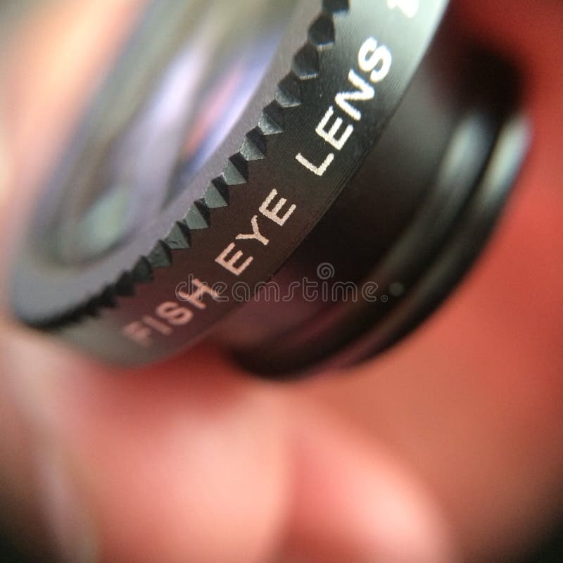 Fish eye lens stock image. Image of lens, fisheye, fish - 53972281