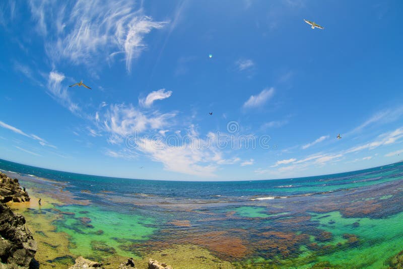 Fish-eye View on Tropical Beach and Ocean Stock Photo - Image of earth ...
