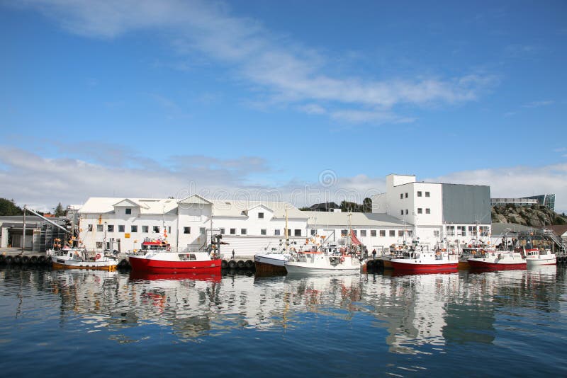 Lofoten s old fish factory stock photo. Image of fish - 6116498