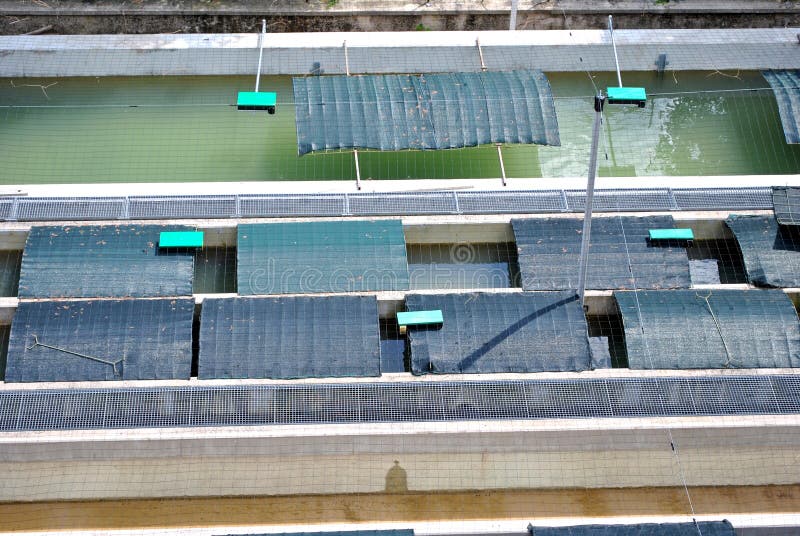 Fish farm stock photo. Image of lake, farming, building - 14325052