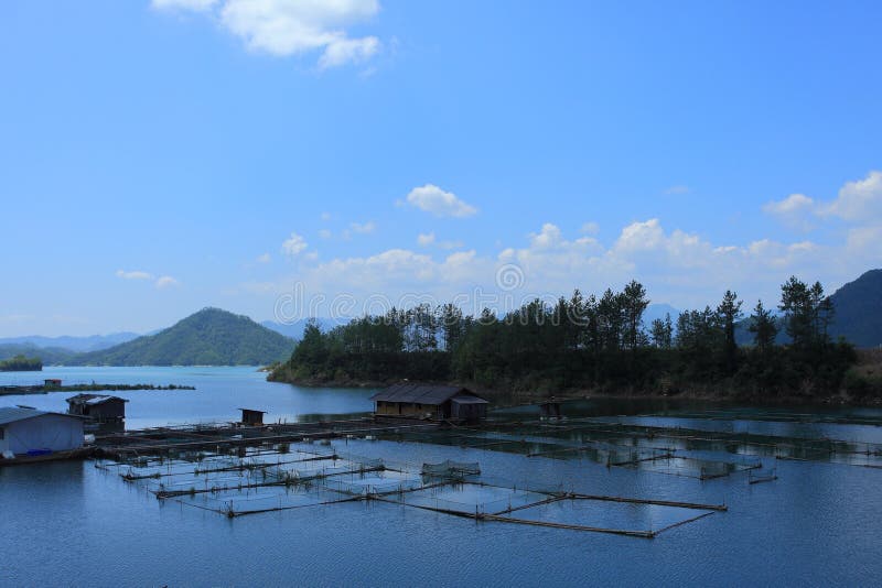 Fish farm stock image. Image of farm, chinese, zhejiang - 17504343