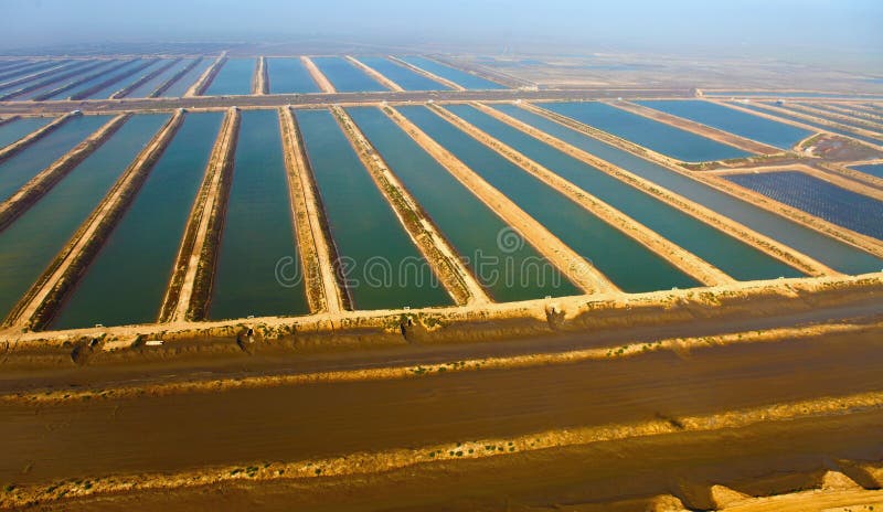 Fish farm stock image. Image of fish, nature, aquaculture - 18619105