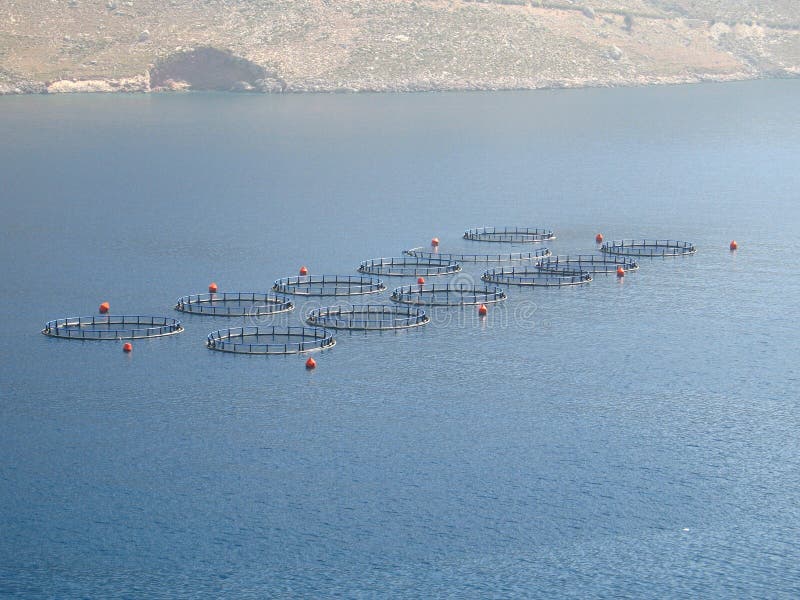 Fish farm stock image. Image of fish, greece, fresh, farming - 21386795
