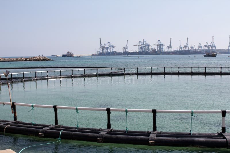 Fish farming industry stock image. Image of farming, marine - 13954581