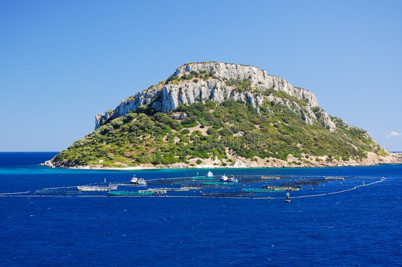 Fish farm 4 stock image. Image of cliff, blue, grid, fishnet - 16261429