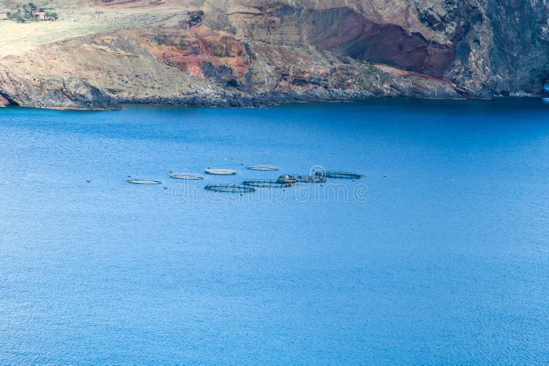 Madeira Island - Farmers Market Stock Photo - Image of green, potato ...
