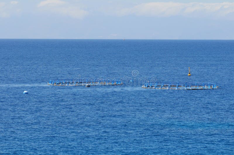 Fish Farm in the Atlantic Ocean Stock Photo - Image of color, fishing ...