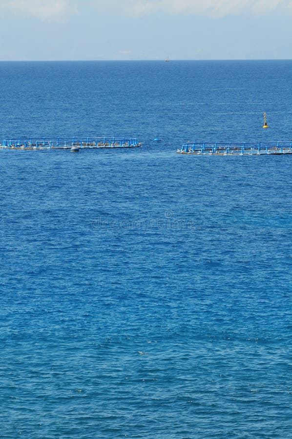Fish Farm in the Atlantic Ocean Stock Photo - Image of color ...