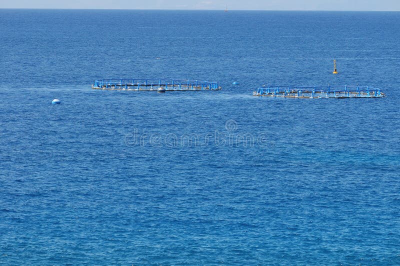 Fish Farm in the Atlantic Ocean Stock Image - Image of food, greece ...