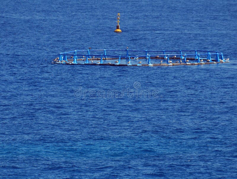 Fish Farm in the Atlantic Ocean Stock Image - Image of italy, industry ...