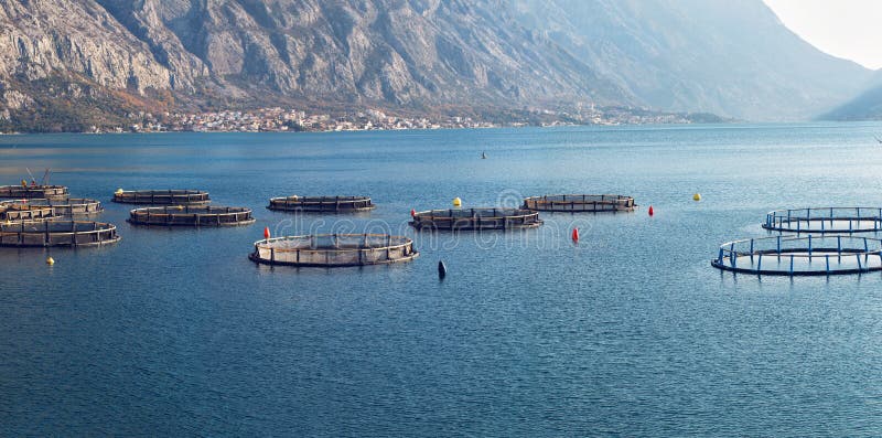 Fish farm stock photo. Image of commercial, mountains - 139066034